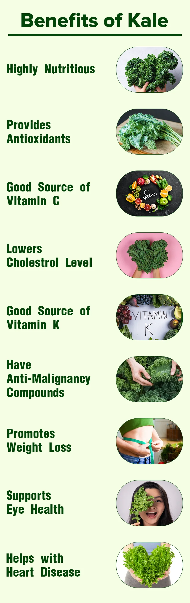 Health Benefits Of Kale Kale: 7 Science Backed Benefits BeLiteWeight