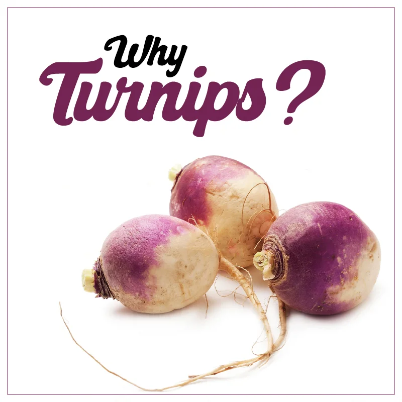 Why Turnips?