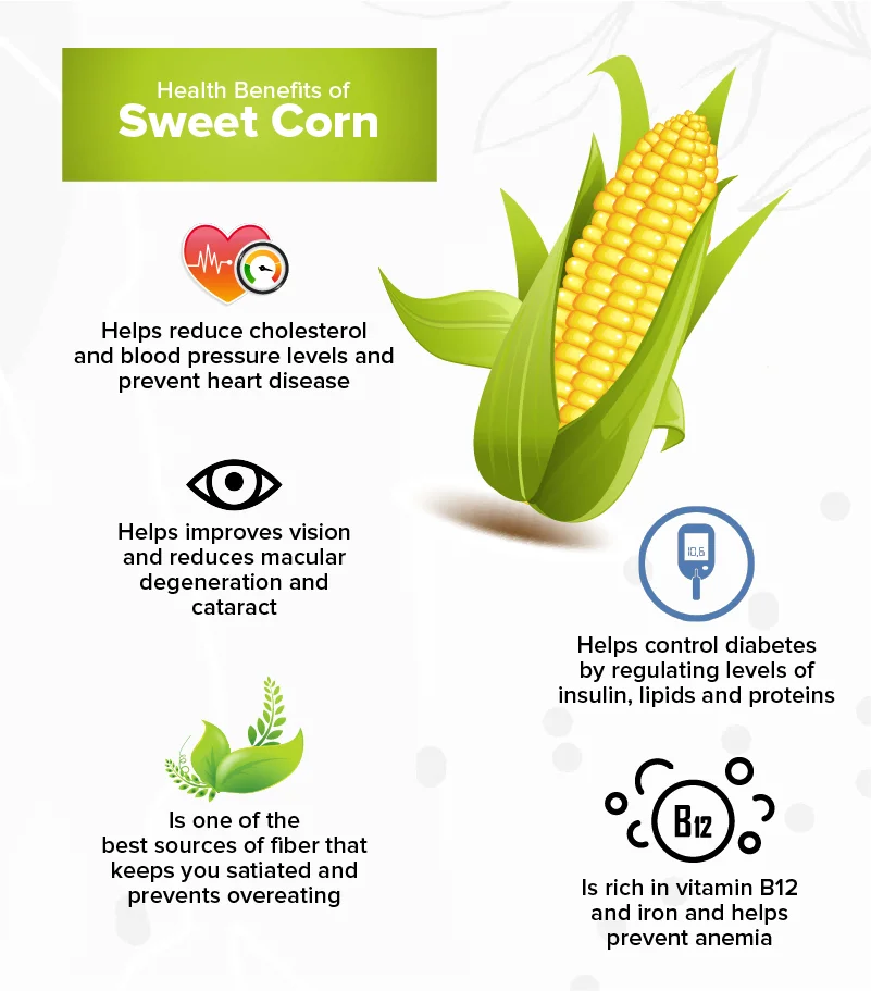 Corn Health Benefits Sweet Corn Benefits, Nutrition, Side Effects And