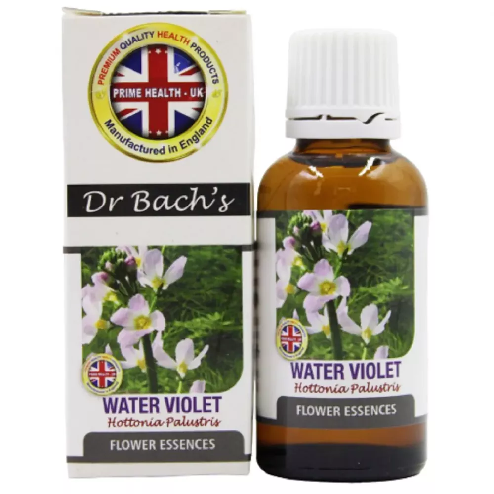 Violet Flower Essential Oil | Best Flower Site